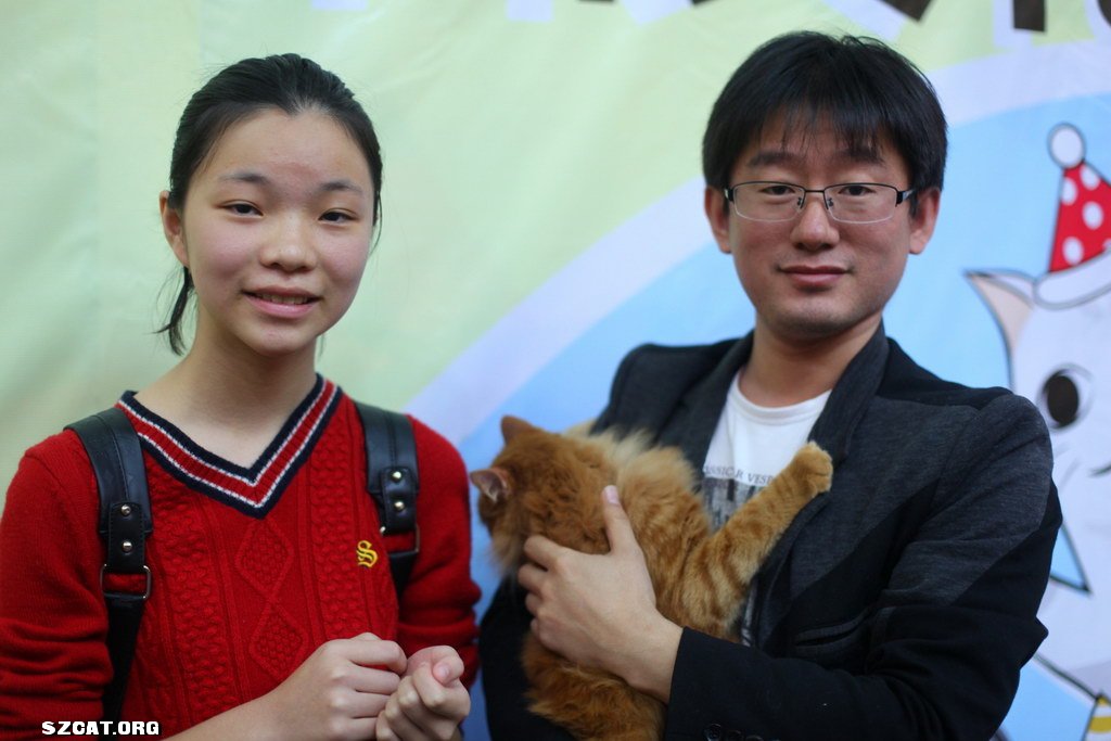 暨在猫图片图片第5页大山谷图库
